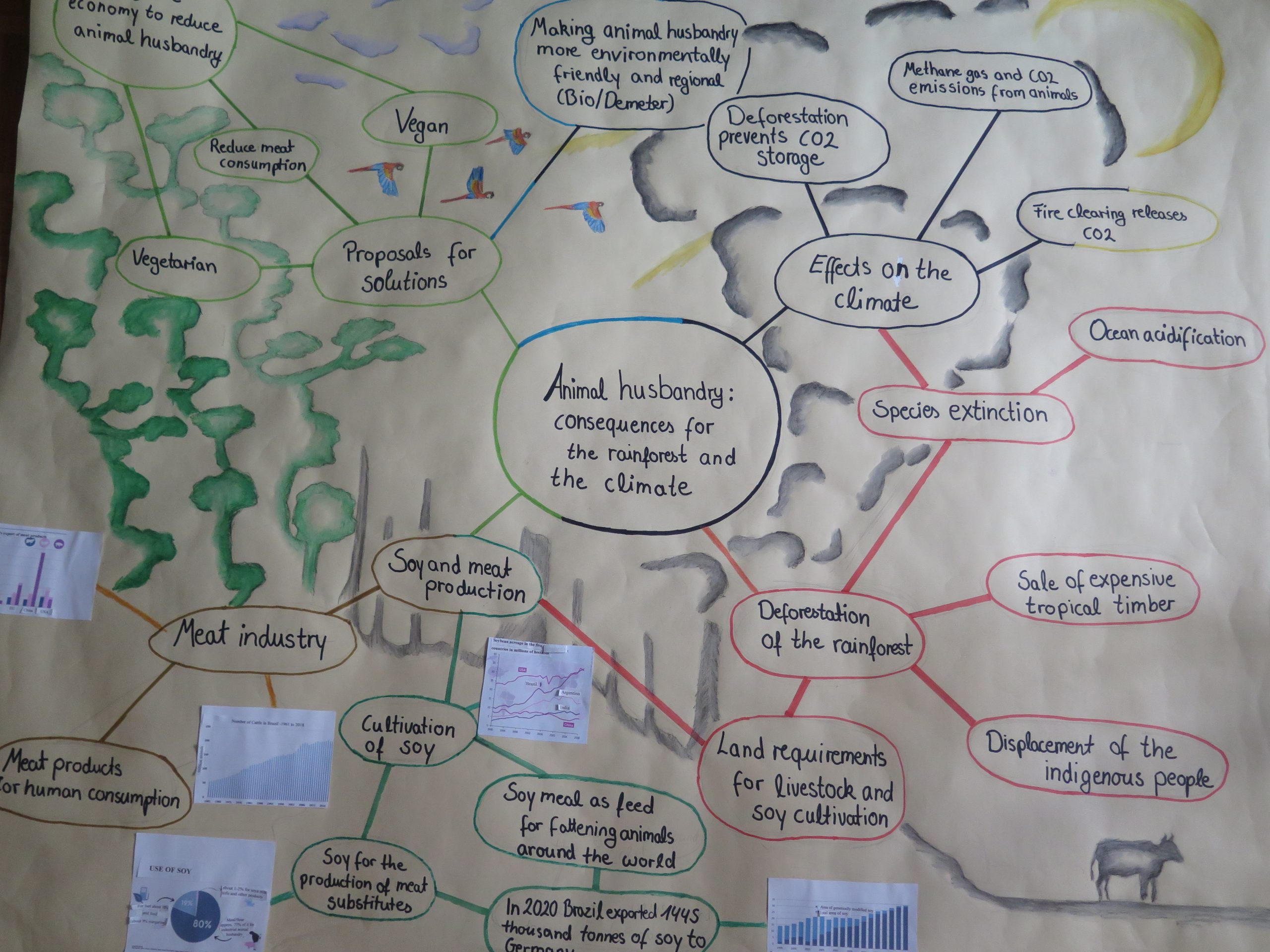 Erasmus: Mindmaps on global nutrition